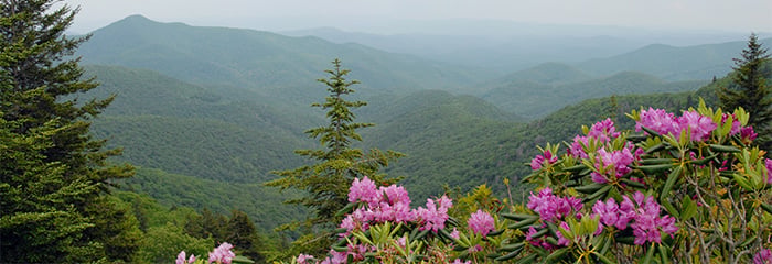 Gatlinburg and Pigeon Forge in March