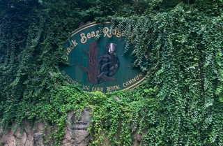 Black Bear Ridge Resort | Cabins For You Cabins